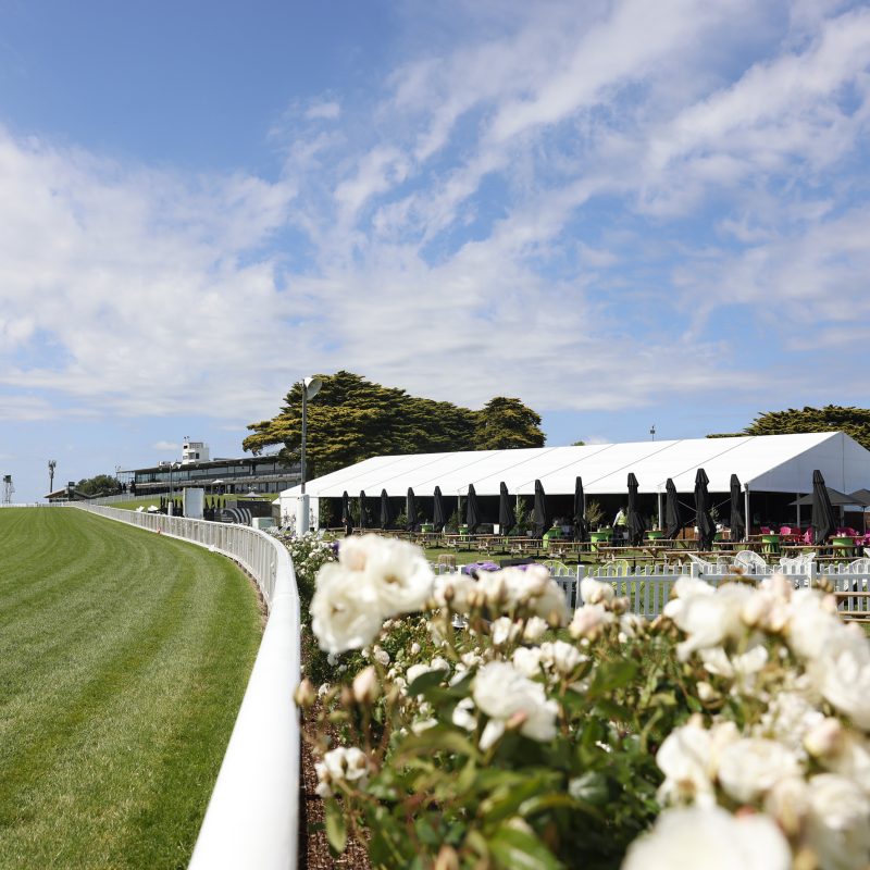 Celebrating 10 years of Highview’s iconic marquee - Highview Accounting ...